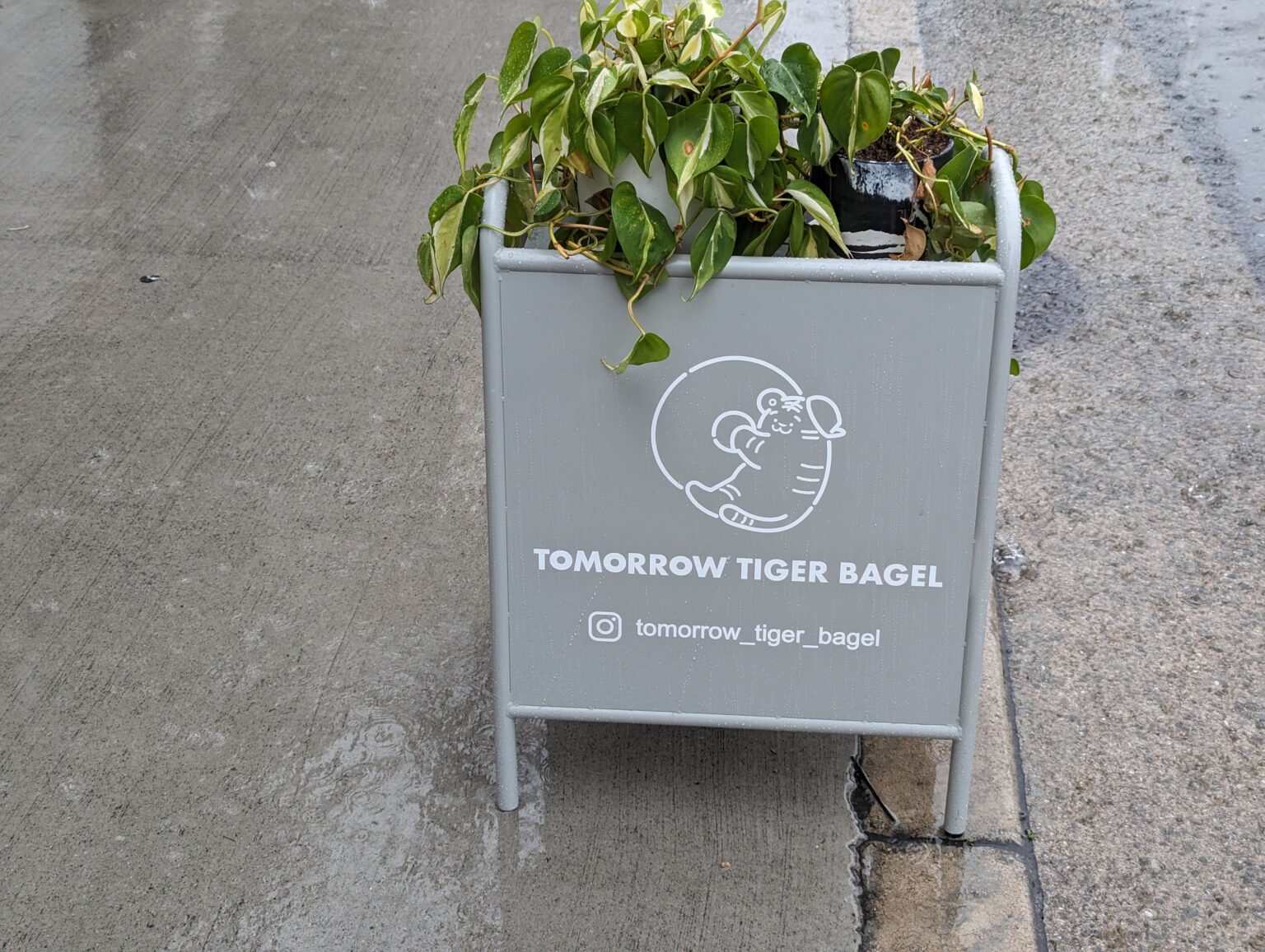【大阪・鶴橋】「TOMORROW TIGER BAGEL（トゥモロー タイガー ベーグル）」オープン直後から行列の絶えない人気のベーグル専門店 ...