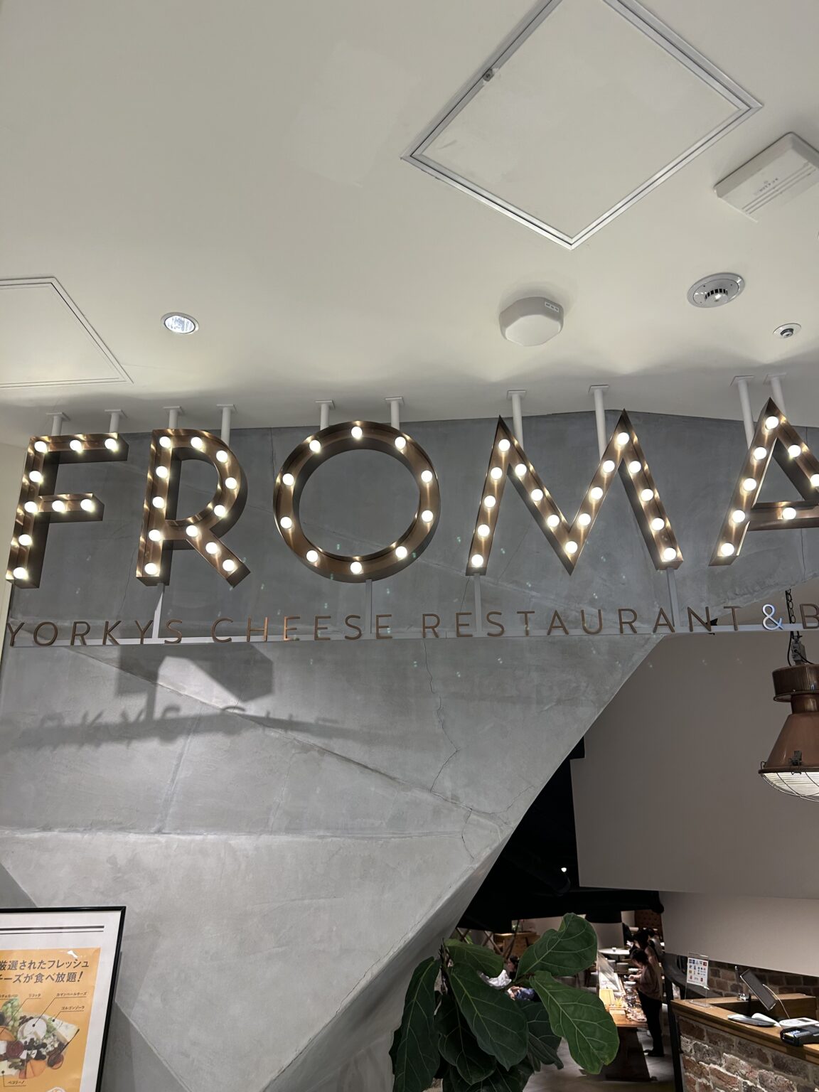 【兵庫・神戸三宮】「FROMA YORKYS CHEESE RESTAURANT&BAR」様々なチーズを使った料理やスイーツが楽しめる ...